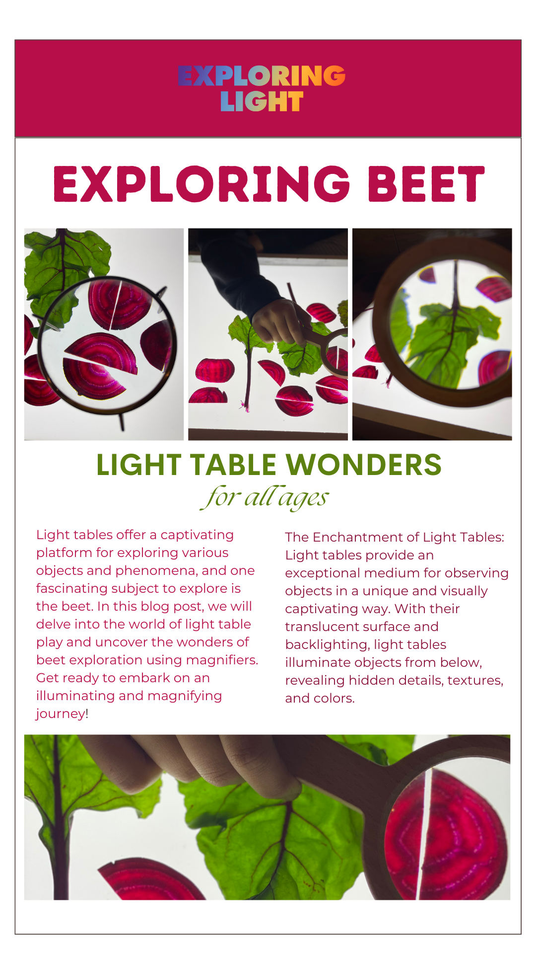 Exploring BEETS… Light Table FUN for all ages – Exploring LIGHT BLOG