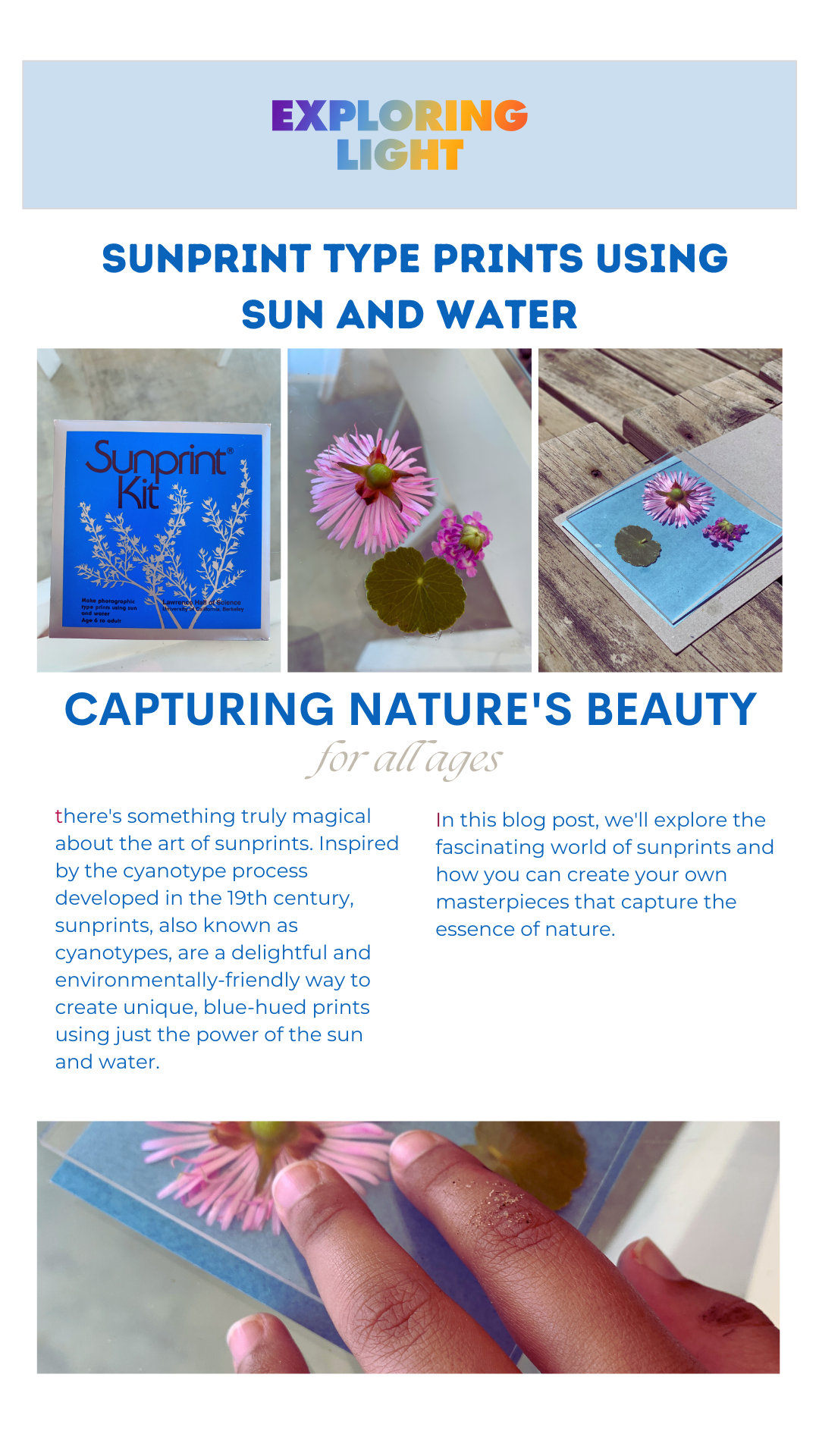 Capturing Nature’s Beauty: Sunprint Type Prints Using Sun and Water ...